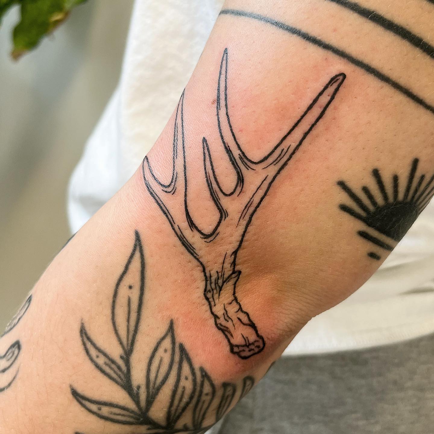 Antler Tattoo Ideas: 40+ Majestic Designs for Your Next Ink - TattooBaz